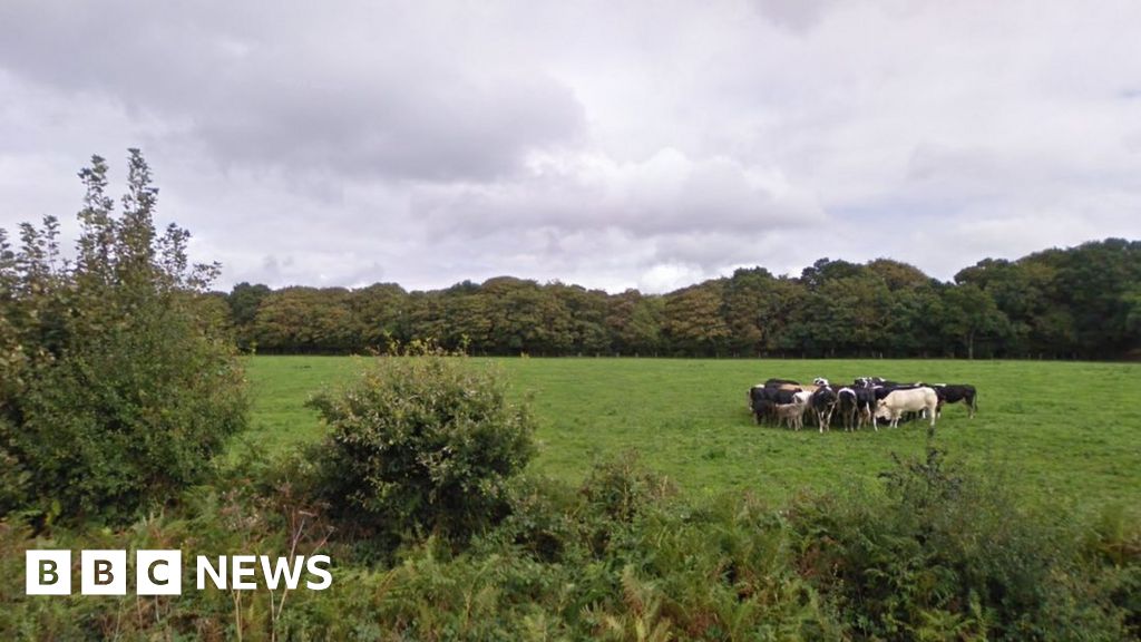 Crossways village: 500 homes agreed by councillors - BBC News
