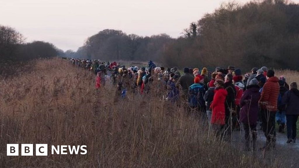 Murmuration crowds urged not to flock to Somerset Levels - BBC News
