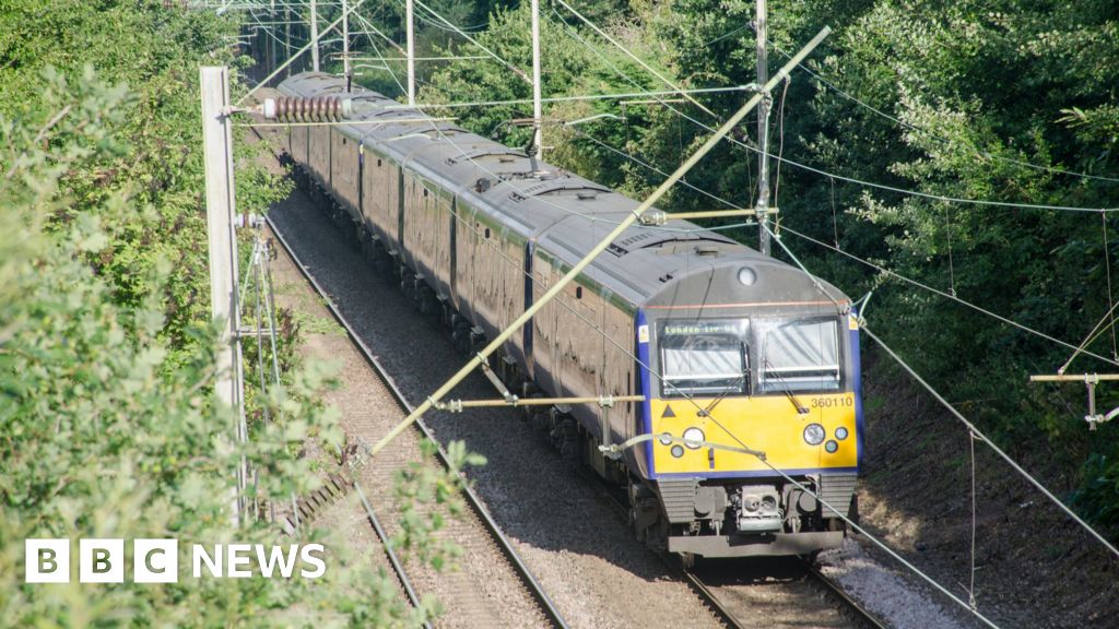 Network Rail tree felling faces review over wildlife concerns - BBC News