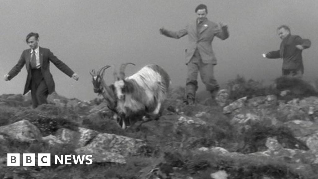 Archive: Puck Fair Festival in 1953 - BBC News
