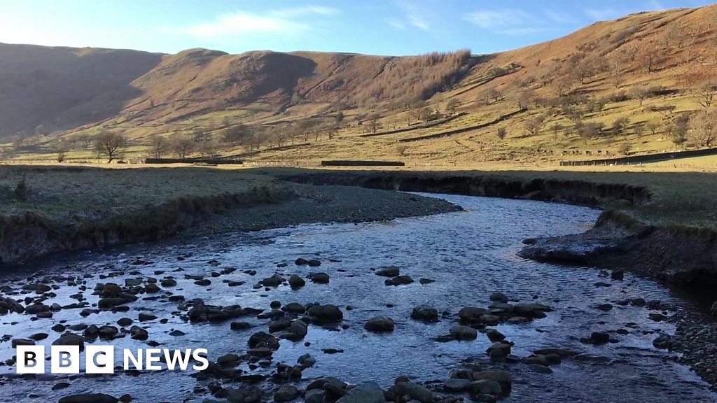 Swindale Beck restored bends benefit breeding fish - BBC News
