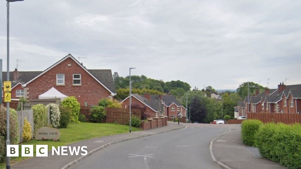 Waringstown: Police name man who died after being struck by lorry - BBC ...