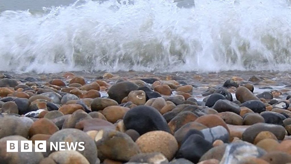 BBC Young Reporter: Taking pebbles from the beach 'disrupts nature'