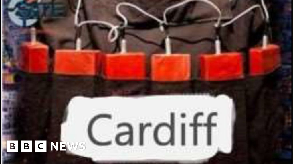 Cardiff terror plot: How teenager planned to attack city