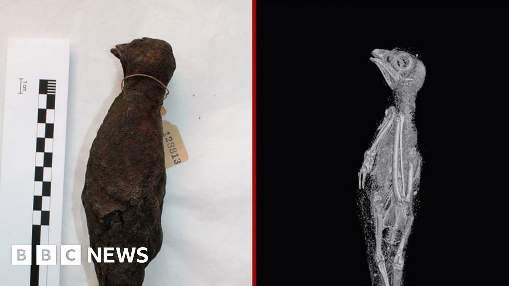 Ancient Egypt: Swansea University 3D scans digitally 'unwrap' mummified ...