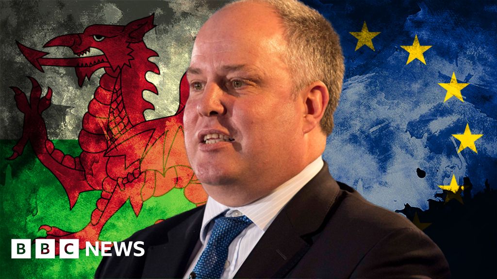Tories 'must unite' over Brexit trade deal, says Welsh leader