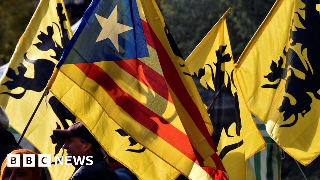 Catalonia crisis: Flemish separatists make common cause - BBC News