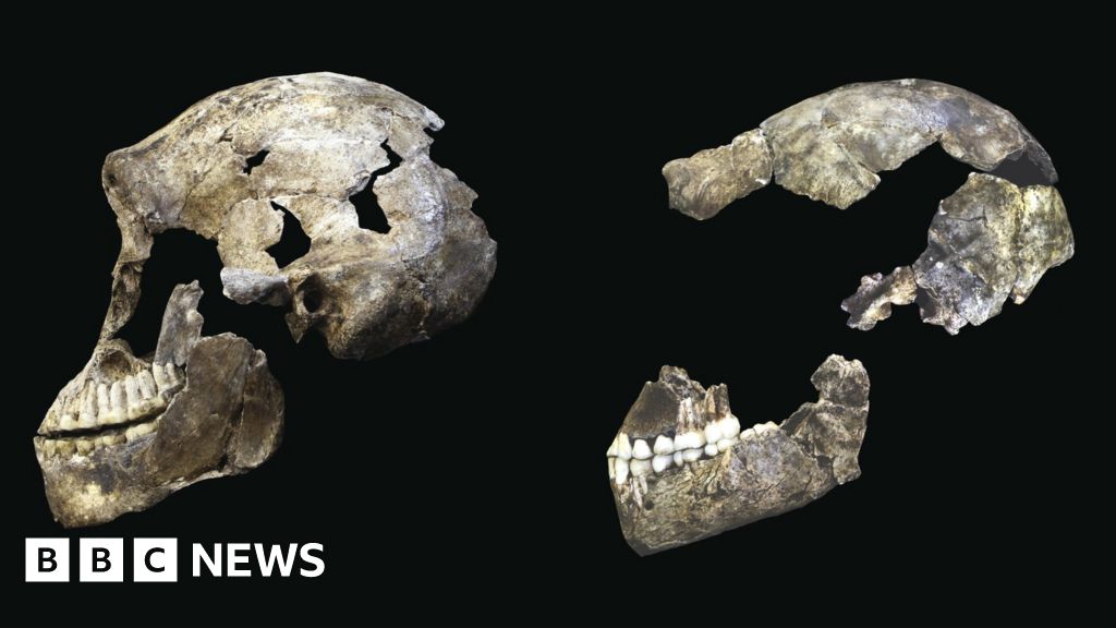 Amazing haul of ancient human finds unveiled - BBC News