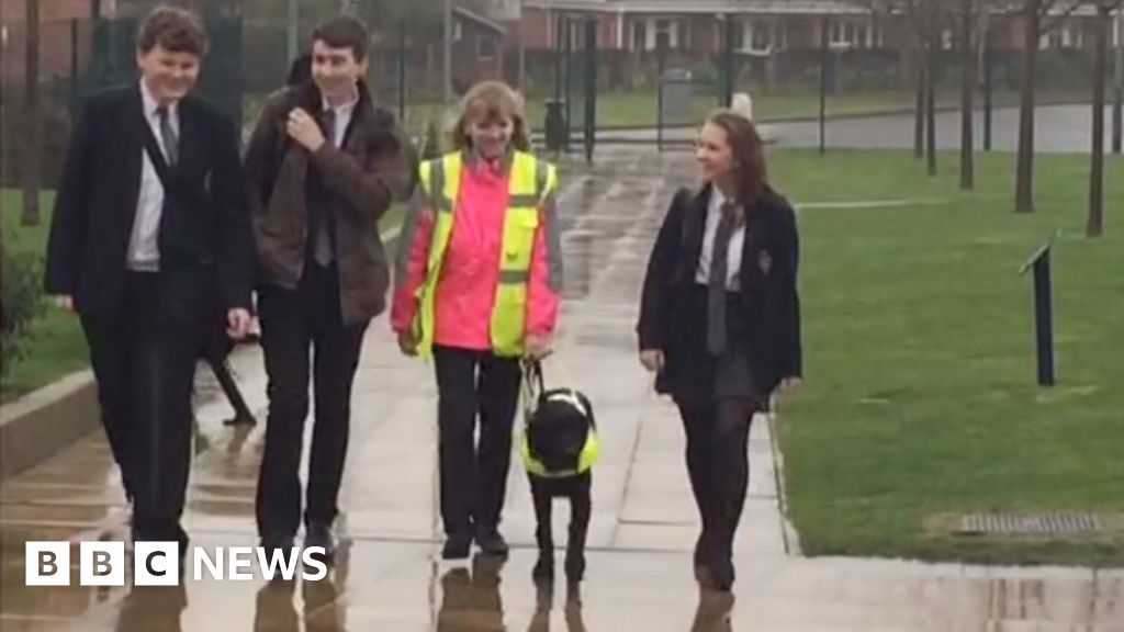 Girl 'one of youngest' to get guide dog - BBC News