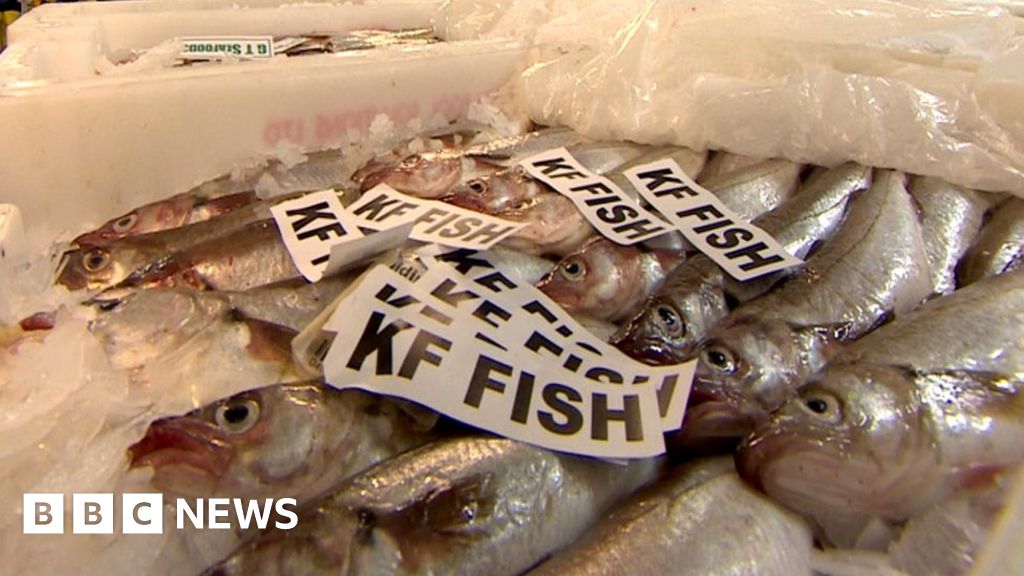 Fergus Ewing vows to protect Scottish fishing industry - BBC News