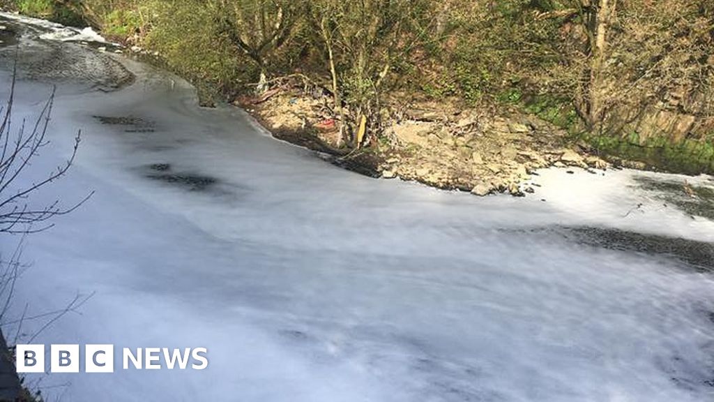 River Irwell pollution 'massive setback' for wildlife - BBC News