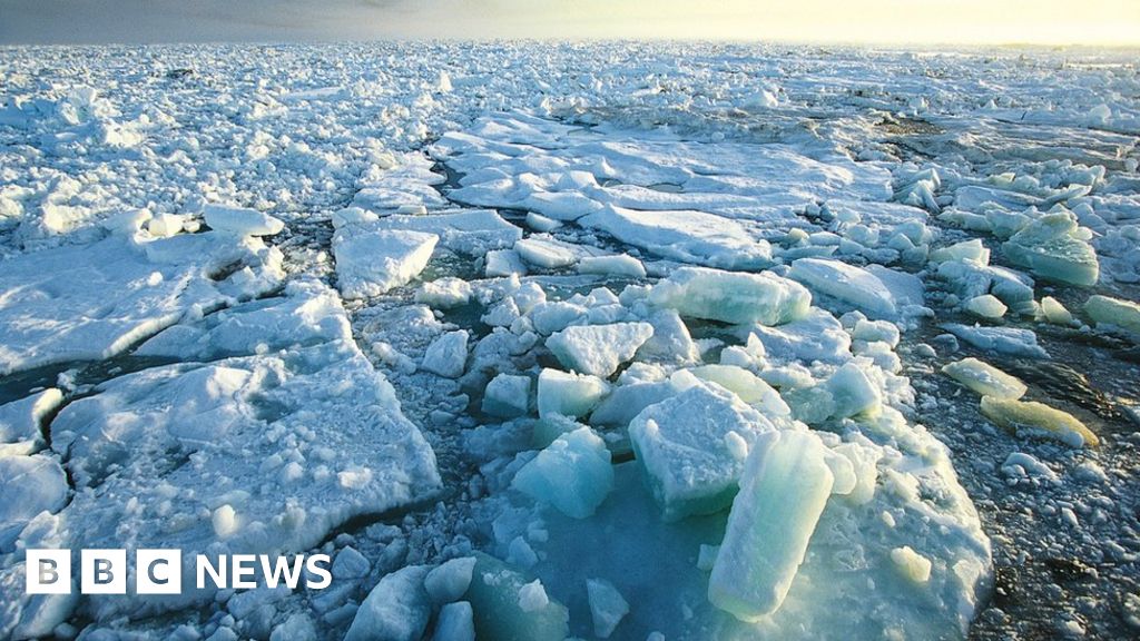 Arctic winter sees sluggish sea-ice growth - BBC News
