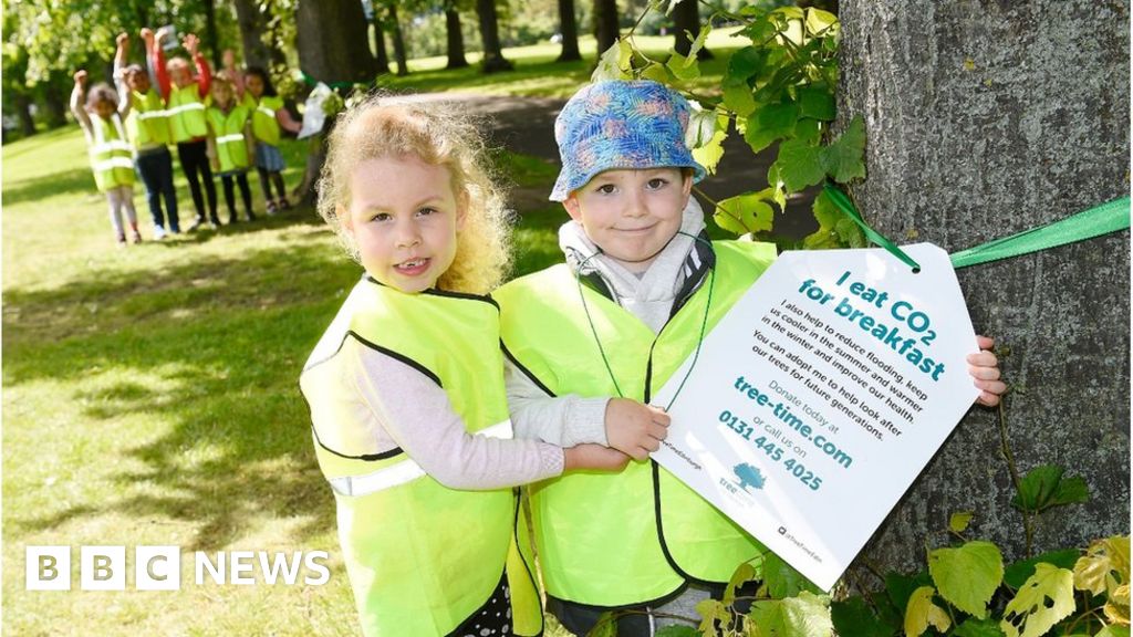 Plan to remember loved ones with Edinburgh trees - BBC News