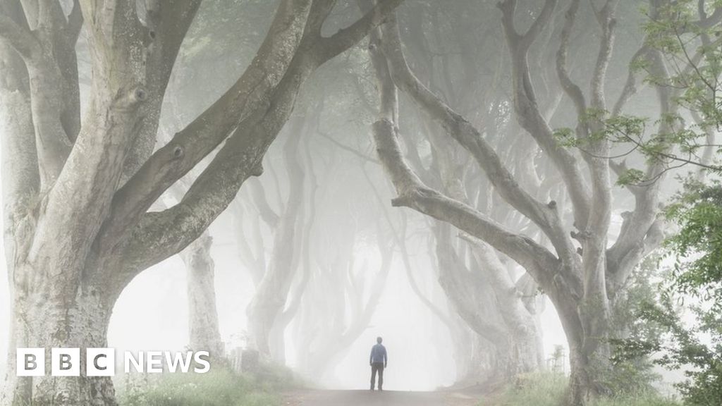 NI Weather: Fog and ice warning spells end of cold spell