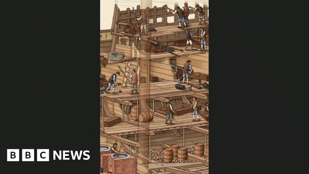 The shipwrecked skulls of the Mary Rose - BBC News