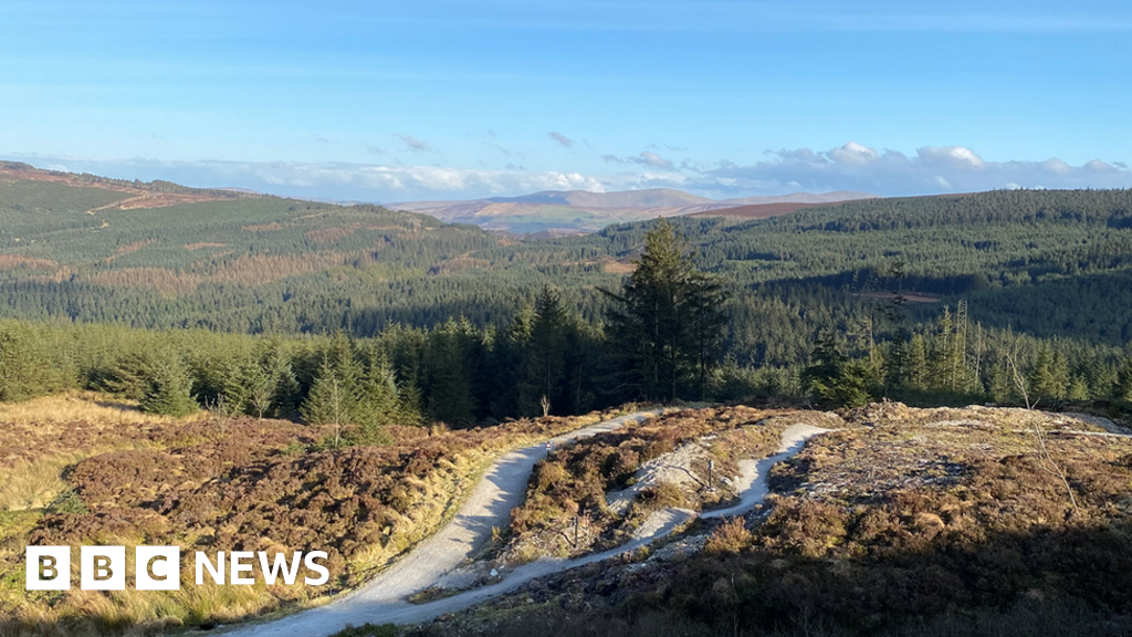 NI environment targets 'less ambitious' than other parts of the UK ...