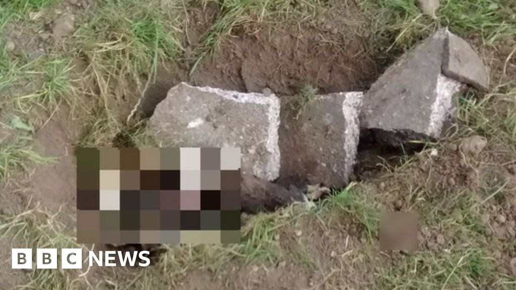 Stoke-on-Trent puppies found dead in shallow grave - BBC News