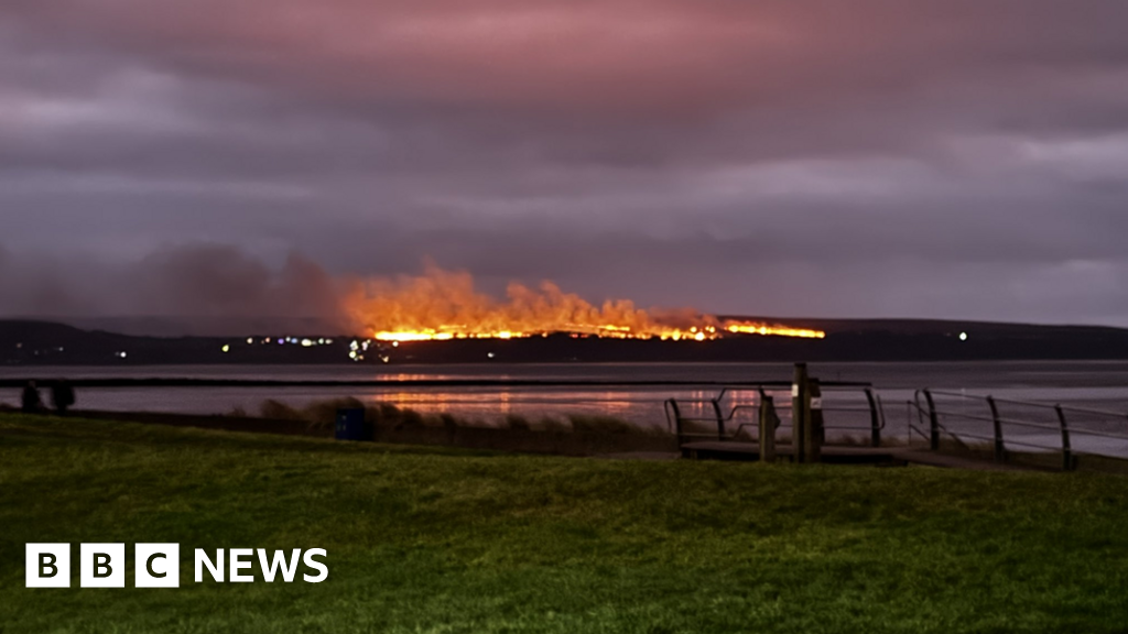 Gower: Large grass fire put out by emergency services - BBC News