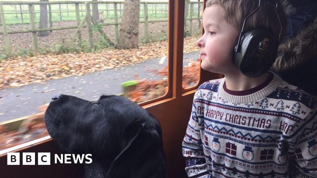 Autism dogs: Call for regulation as demand quadruples - BBC News
