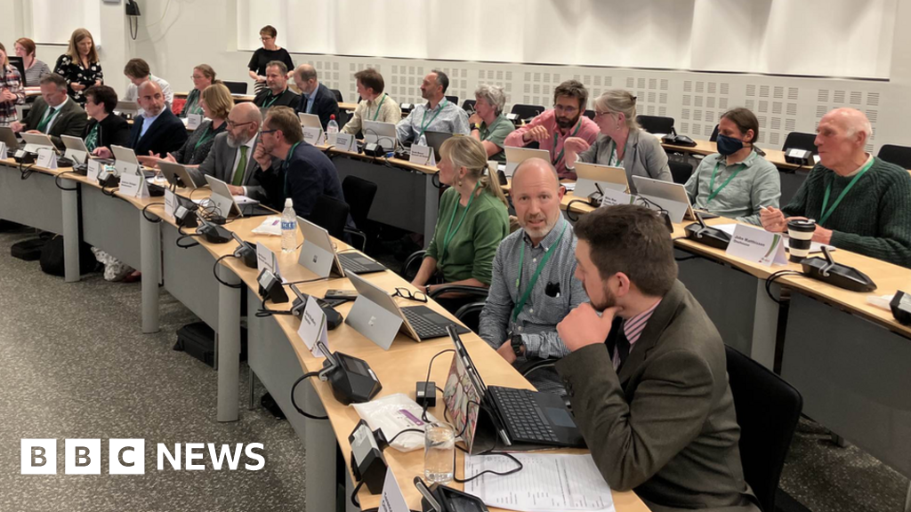 Mid Suffolk: Greens take formal control of their first council - BBC News