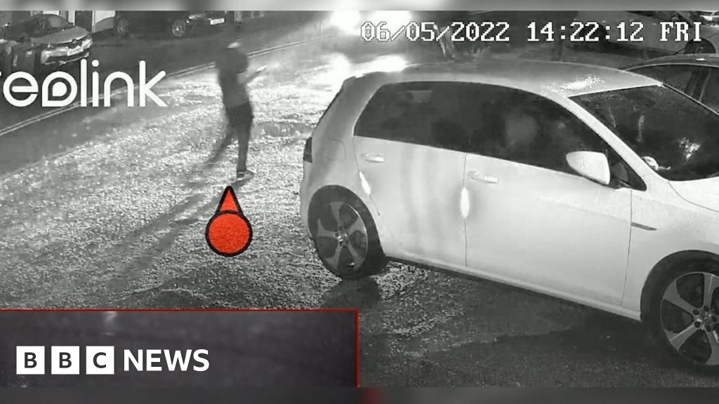 Alice Wood: CCTV shows moment woman ran over fiance with car