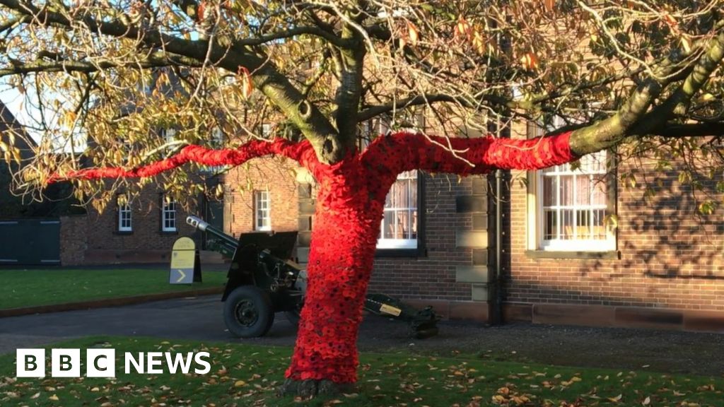 Carlisle Castle poppy trees honour World War One heroes - BBC News