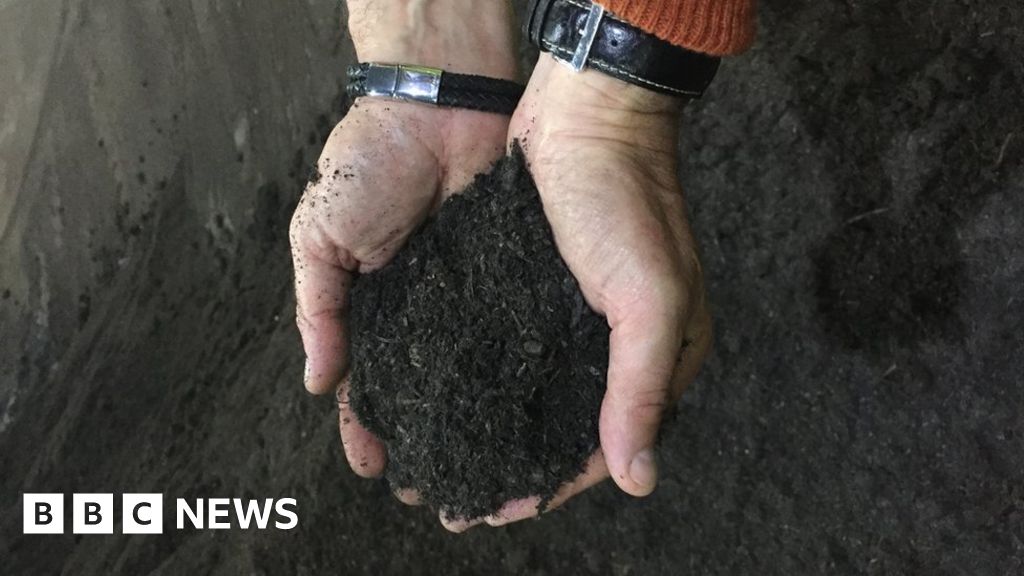 Why 12 is the magic number when it comes to composting - BBC News