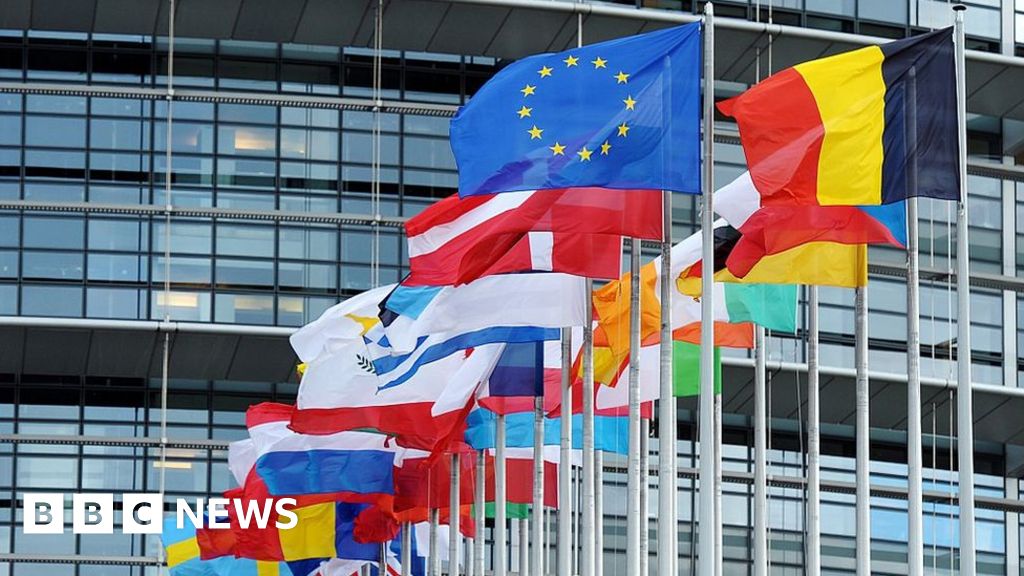2019 European elections: What you need to know