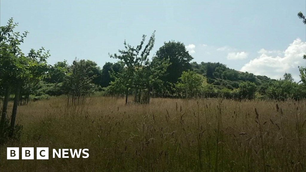 New agricultural techniques trialled in Devon