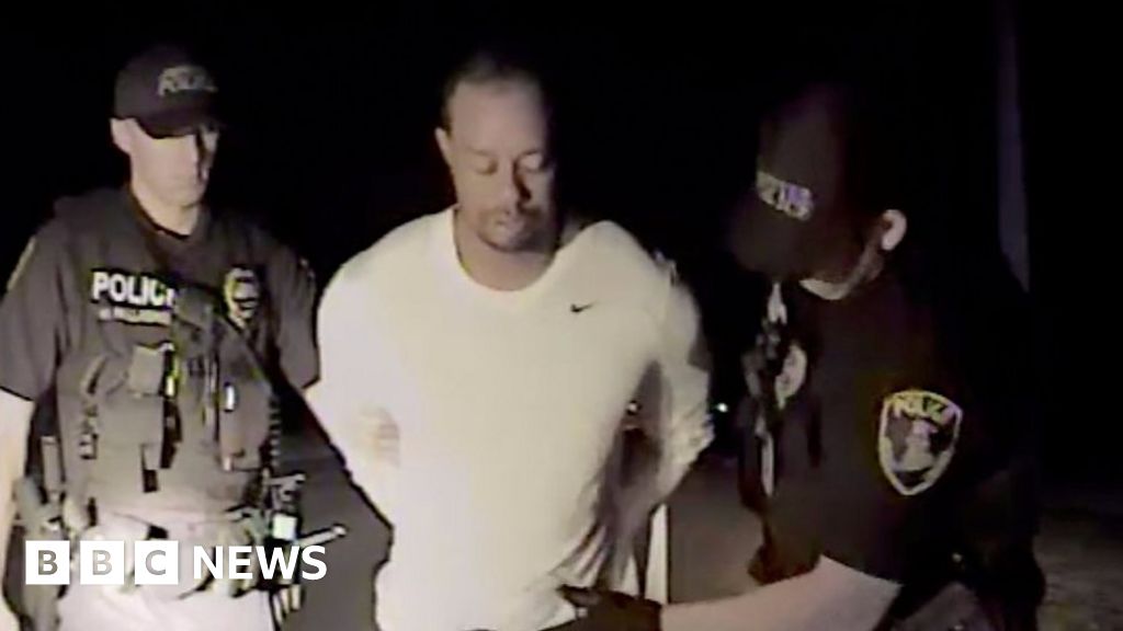 Police Release Tiger Woods Dashcam Video