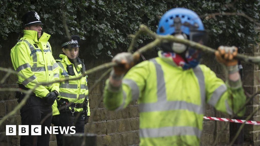 Sheffield tree protesters 'will not face arrest', says PCC - BBC News