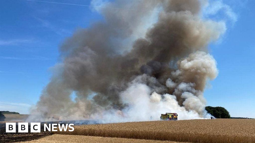 Dorset and Wiltshire fires up 429% compared to August 2021 - BBC News