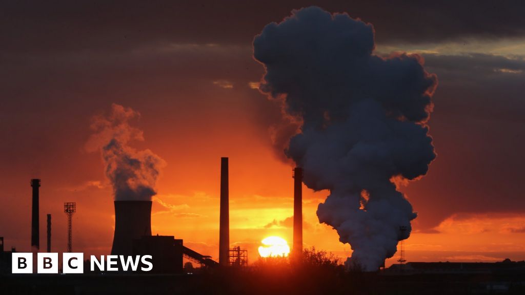 Theresa May announces new environment bill - BBC News