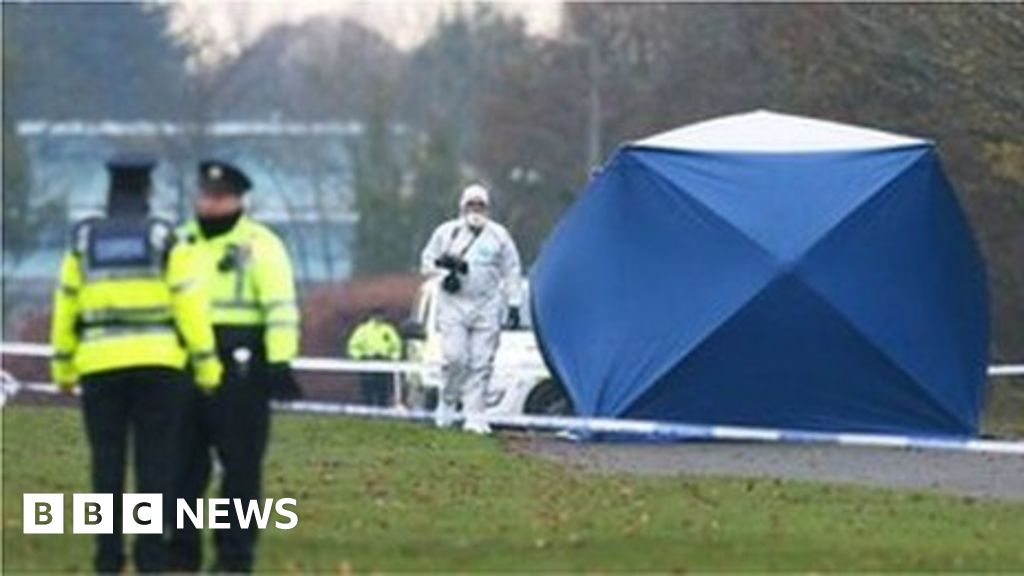 Dublin murder investigation after man shot dead - BBC News