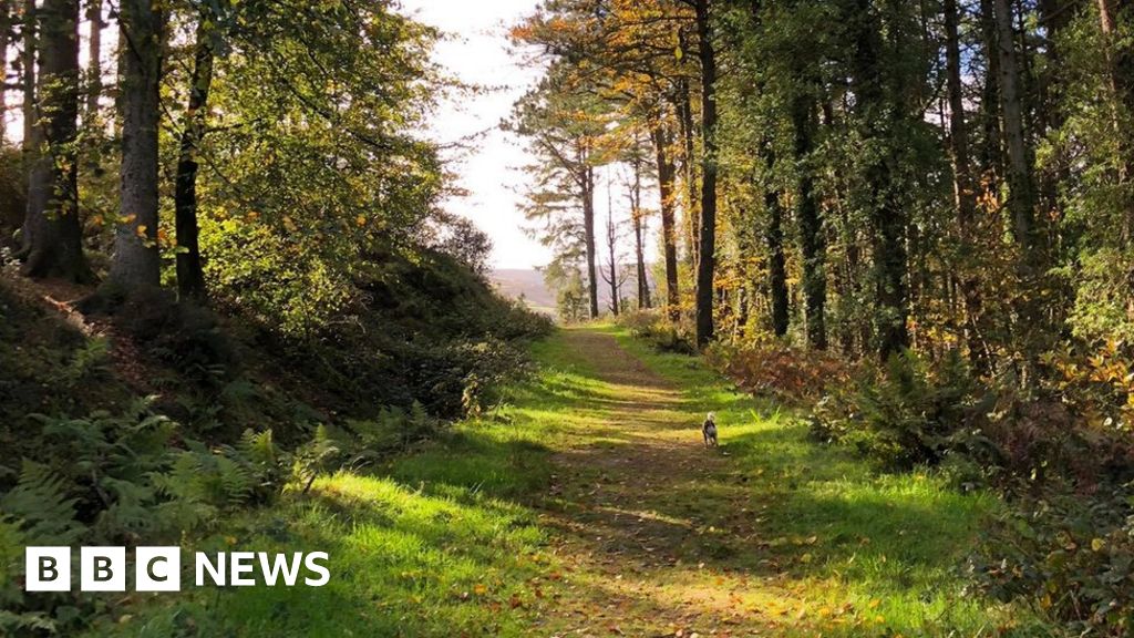 Regional sewage treatment works set for site in Manx plantation