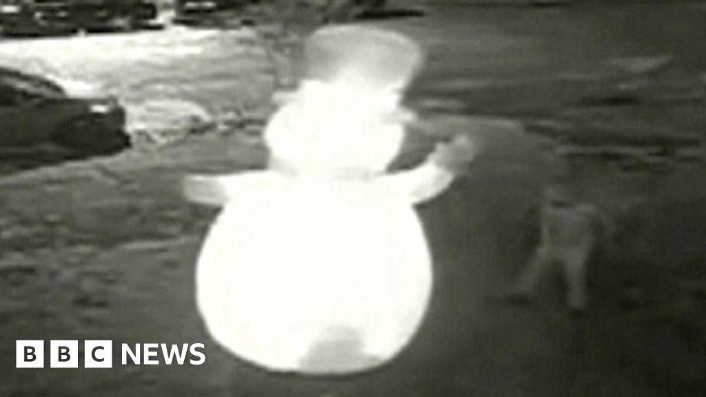 CCTV shows US snowman stabbing - BBC News