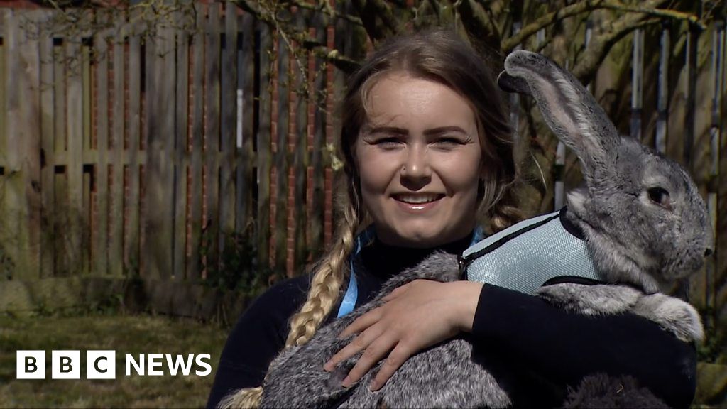 Coronavirus: The Suffolk Rural college staff caring for animals in lockdown