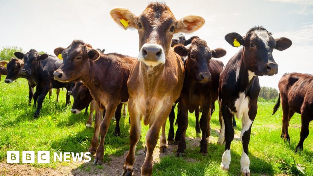 Leon restaurant co-founder Henry Dimbleby to lead food system review