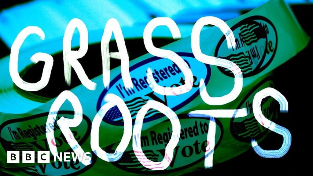 The grassroots movement aiming to topple President Trump - BBC News