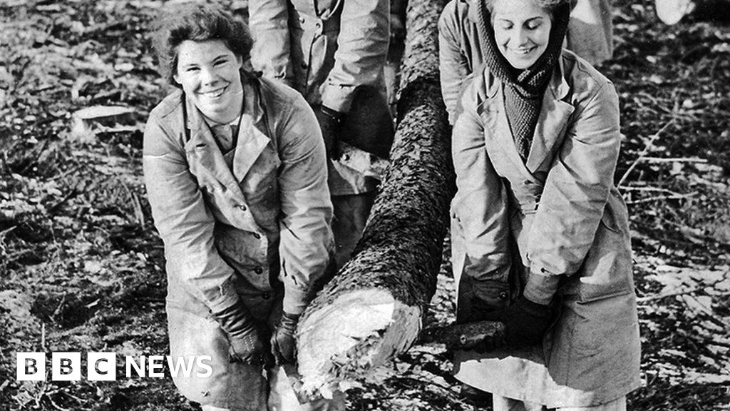 Scotland marks 100 years of public forestry - BBC News