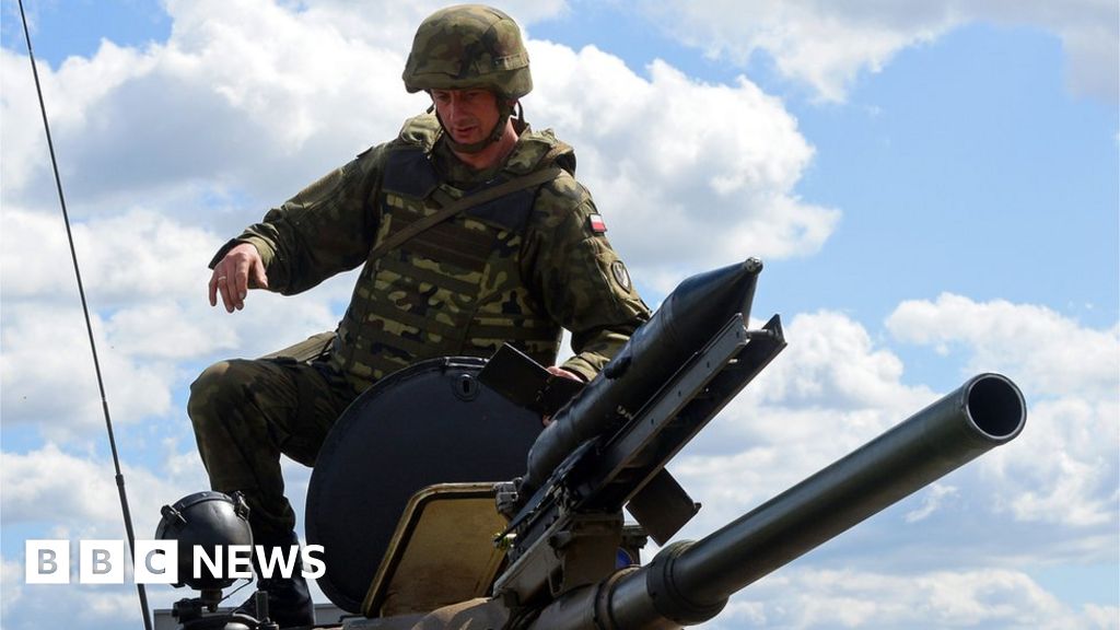 Poland plans paramilitary force of 35,000 to counter Russia - BBC News