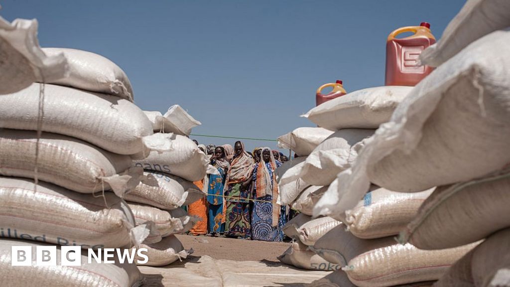 Nigeria shuts Action Against Hunger aid group 'for feeding militants ...