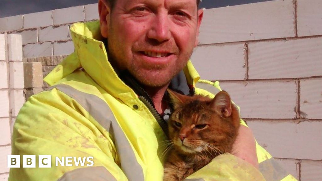Corby cat trapped in concrete floor for three weeks - BBC News