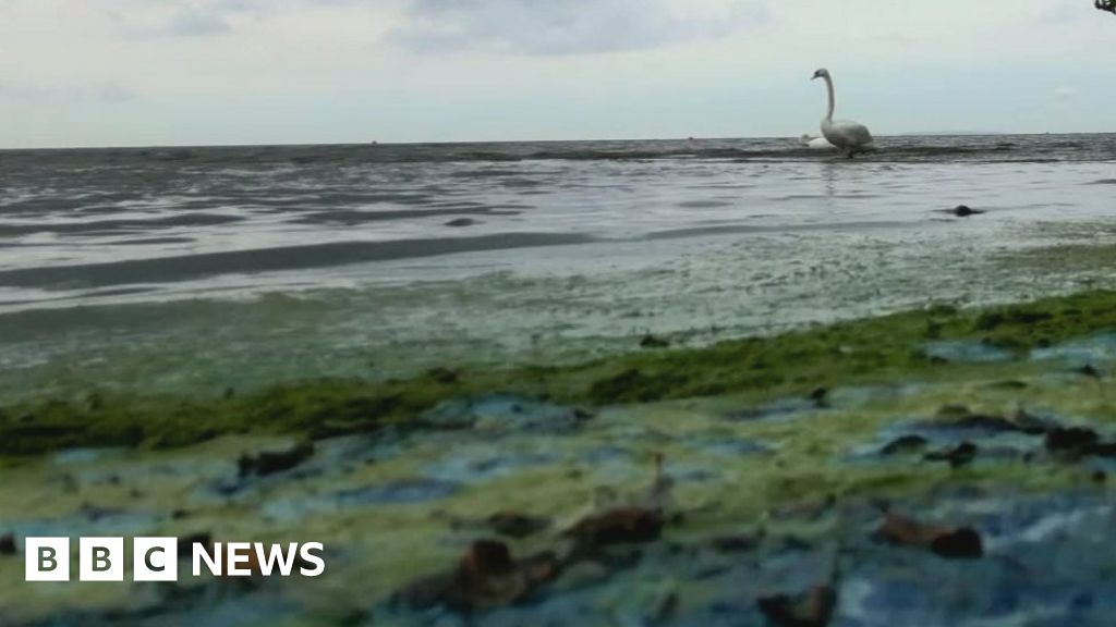 Stormont: SDLP bids to recall assembly over Lough Neagh 'crisis' - BBC News