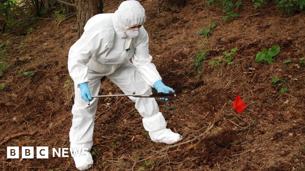 The woman who digs the dirt to catch serial killers - BBC News
