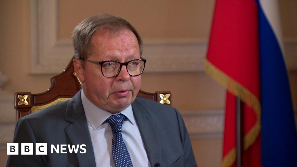 Russia's UK ambassador: 'We do not see any point in interference'