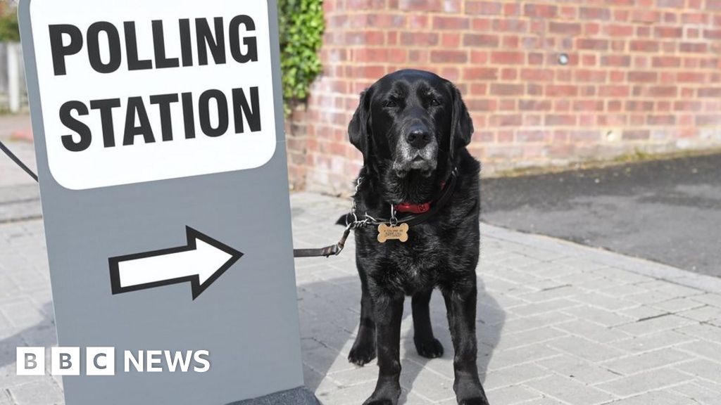 Elections 2022: Polls open in Welsh council elections - BBC News
