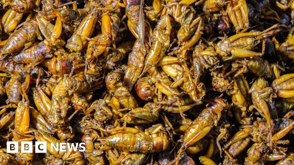 'Locust swarm' forces Ethiopian Airlines plane to divert - BBC News
