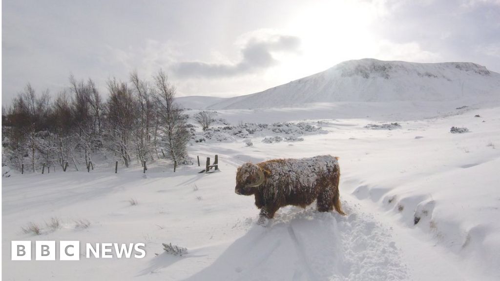 Your pictures of Scotland: 23 February to 2 March - BBC News