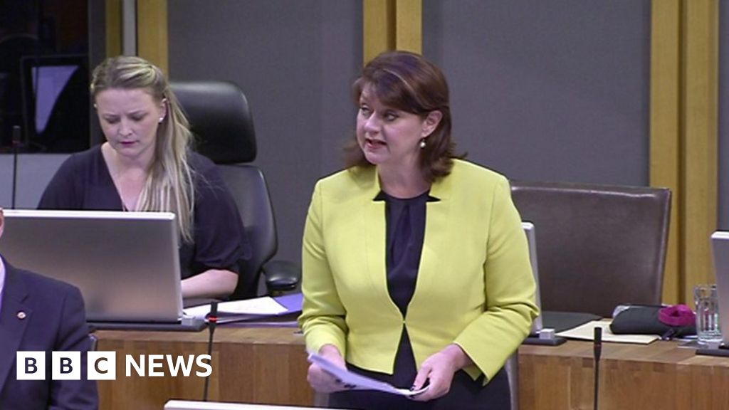 UKIP AM Michelle Brown 'cannot safely represent people of colour' - BBC ...